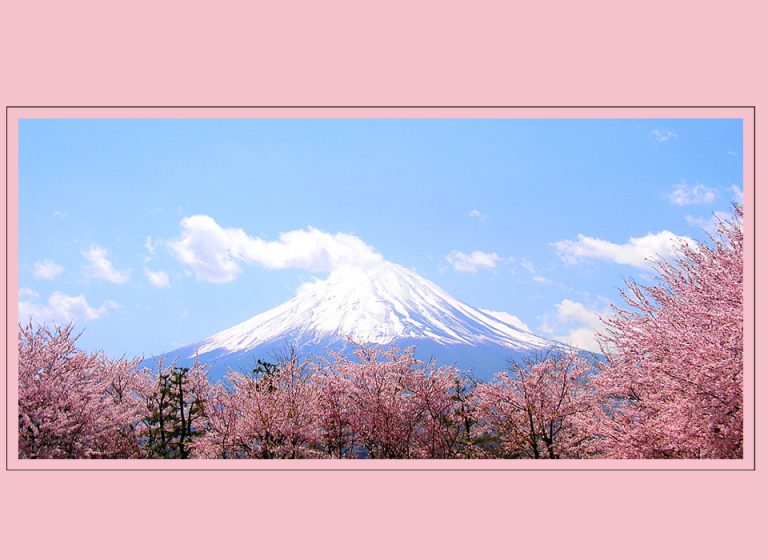 World Tour-Tokyo R1 3087 | Akko Official Global Site