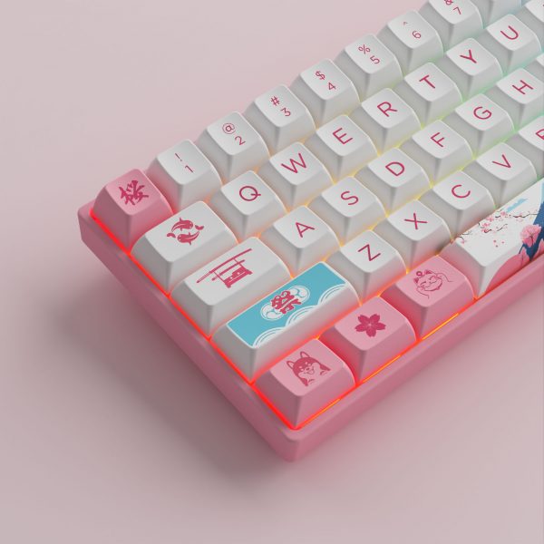 World Tour Tokyo 3061S RGB | Akko Official Global Site