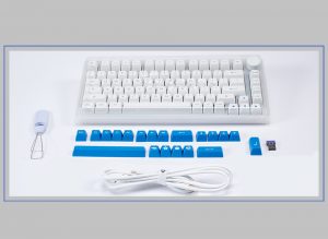 PC75B Plus Blue on White | Akko Official Global Site