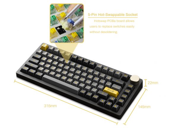 Black&Gold PC75B Plus v2 | Akko Official Global Site