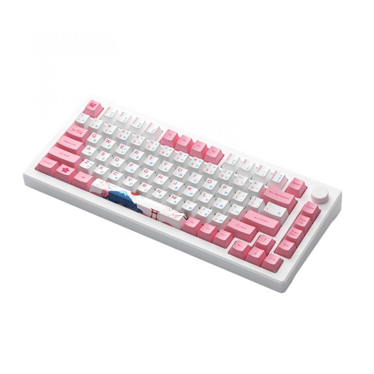 MOD007B PC Tokyo Magnetic Switch Gaming Keyboard | Akko Official Global ...