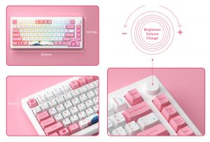 MOD007B PC Tokyo Magnetic Switch Gaming Keyboard | Akko Official Global ...