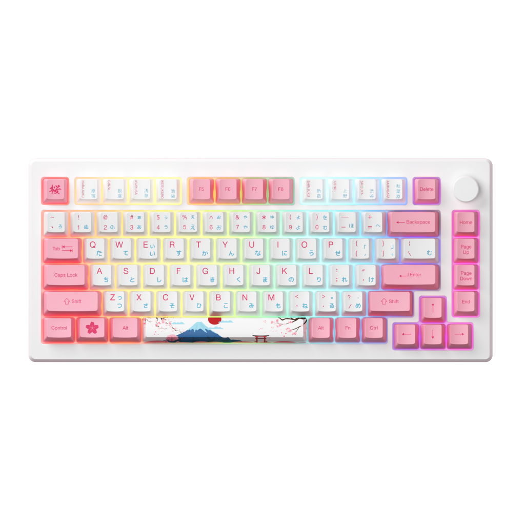 Understanding Gasket Mounted Structure & Recommended Keyboards | Akko ...