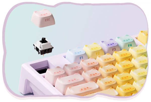 MG108B Colorful Cats | Akko Official Global Site